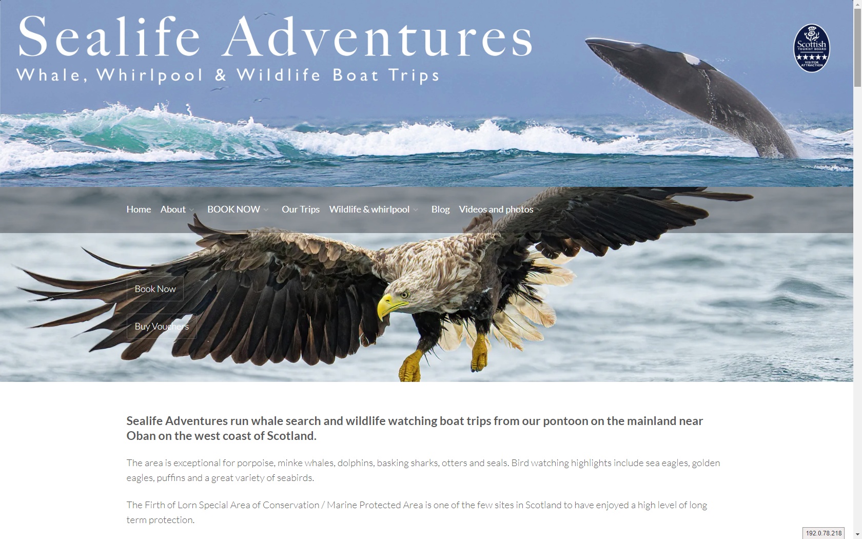 Craignish Cruises is Closed - Web Design Oban, Argyll and Scotland